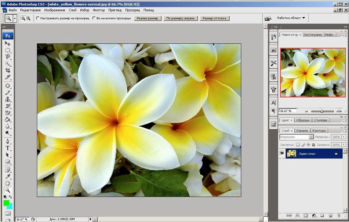 Уроци на фотошоп, GIMP, MS Office, Scratch, HTML&CSS: Как да си направим ефектна картичка за 8 ...