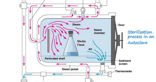 Steam Sterilization (Heating in an Autoclave) : Pharmaceutical Guidelines