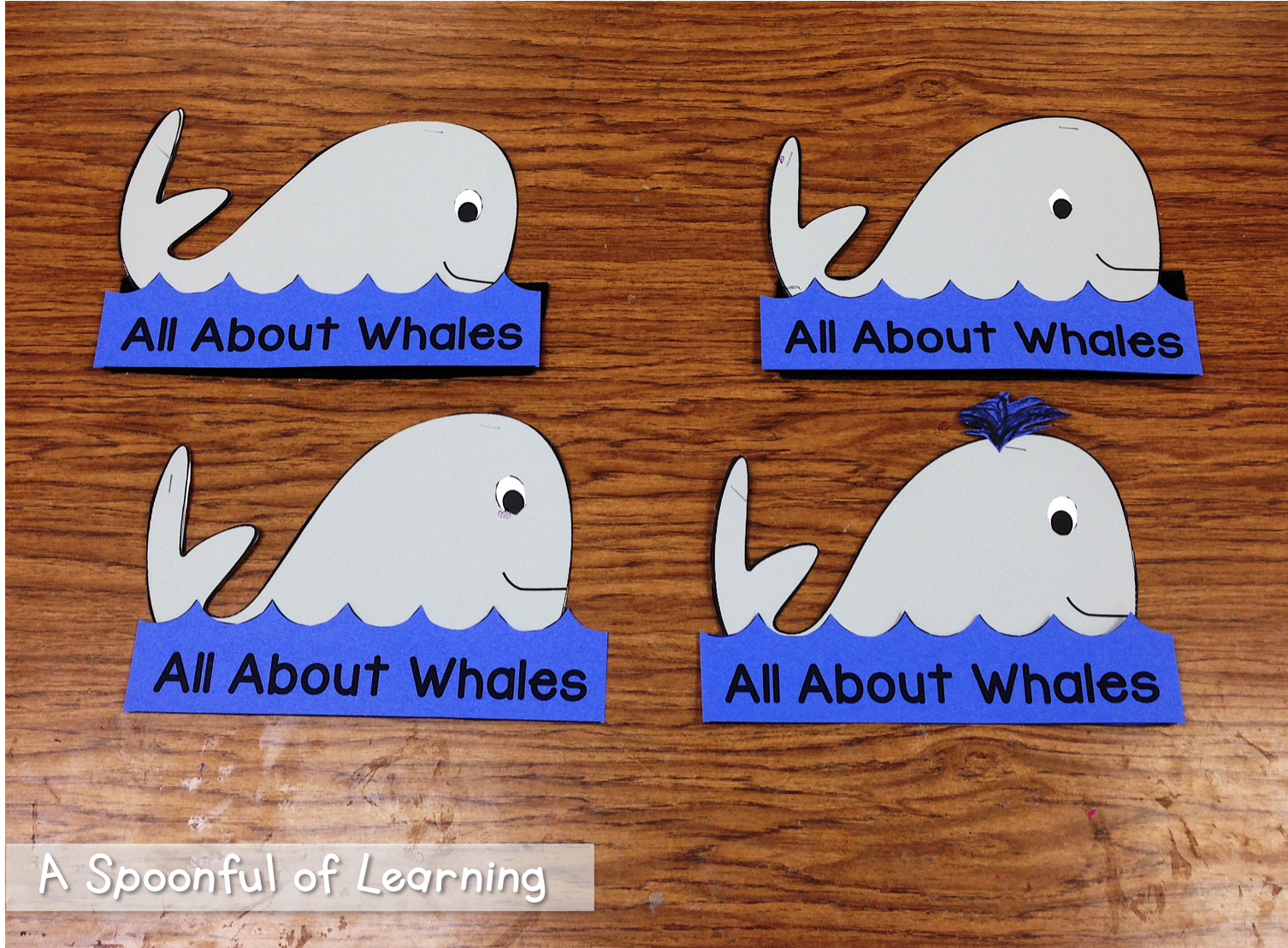 Ocean Unit Study - A Spoonful of Learning