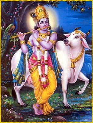 TELUGU WEB WORLD: GOKULA KRISHNA