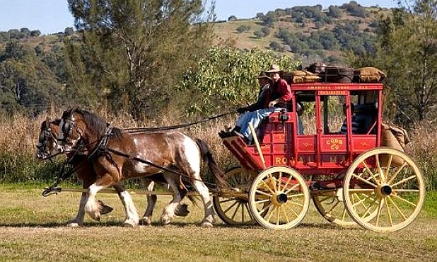 Transpress Nz Transport Etymology 9 Coach transpress-nz-transport-etymology-9-coach
