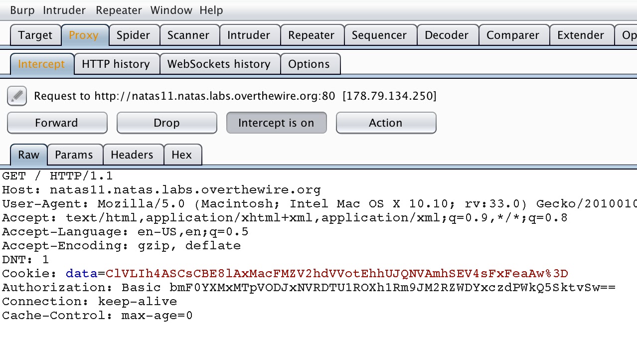Security Writeups: Natas 11