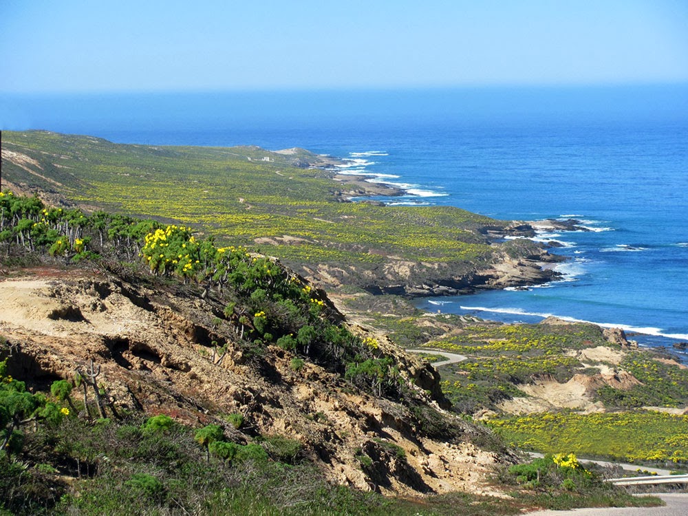 Channel Islands Restoration Blog CIR Expands Work On San Nicolas Island channel-islands-restoration-blog-cir-expands-work-on-san-nicolas-island