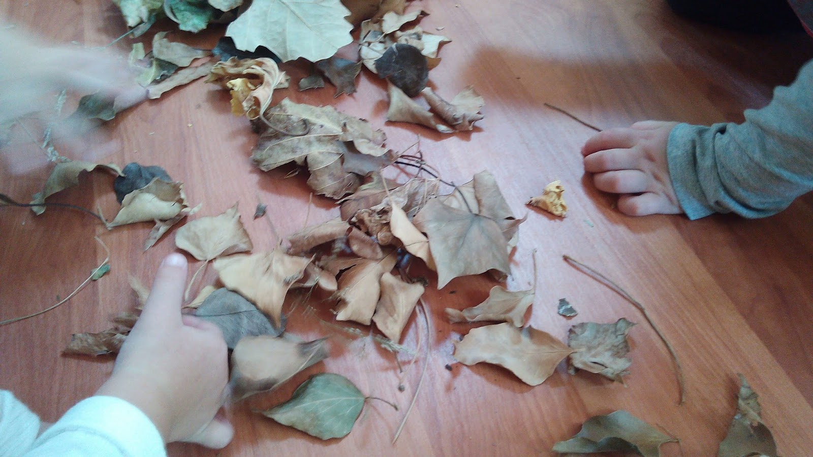 Actividades de motricidad fina en otoño