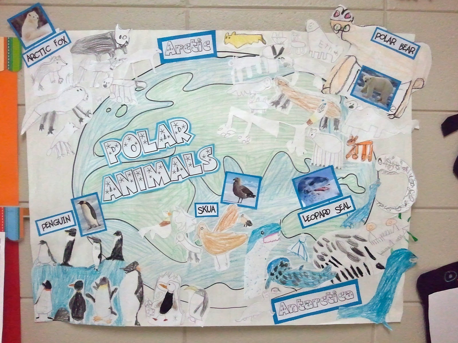 I like this idea, of making a world map poster and putting arctic and ...