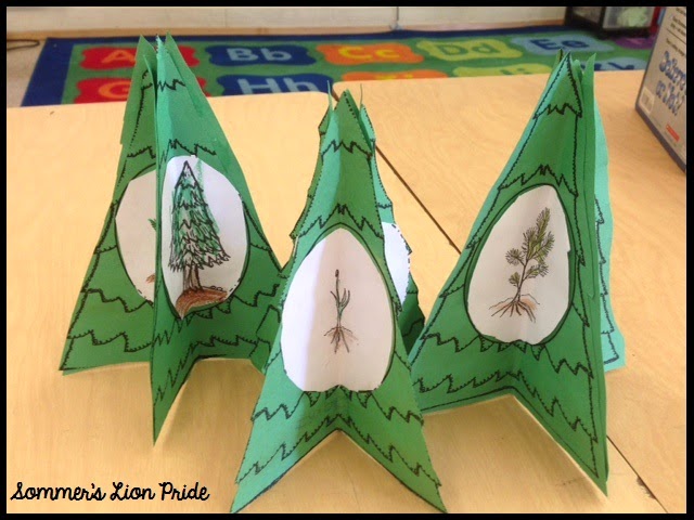 Trees, Trees, and Trees!