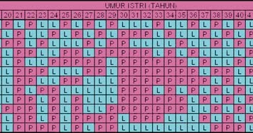 dex iwans: Program memilih jenis kelamin baby dengan Kalender Cina