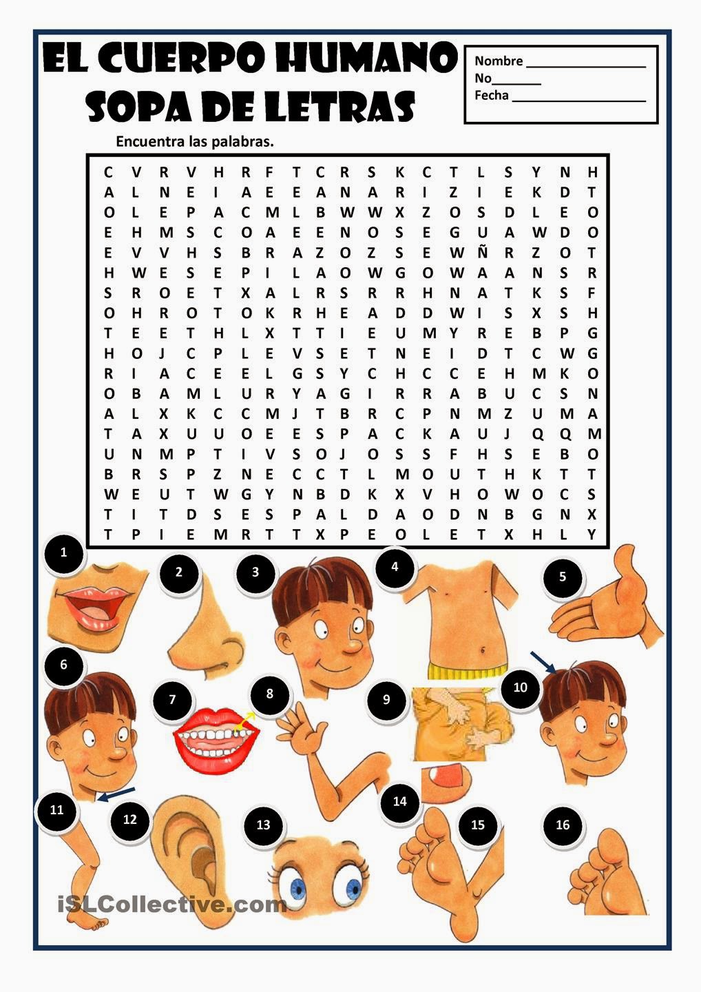 Las tres mosqueperras: El cuerpo humano - sopa de letras - ejercicio ...
