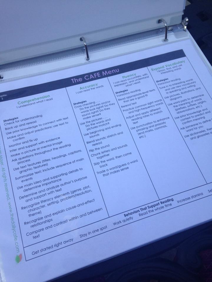 Reading Binder - For the Love of Teaching