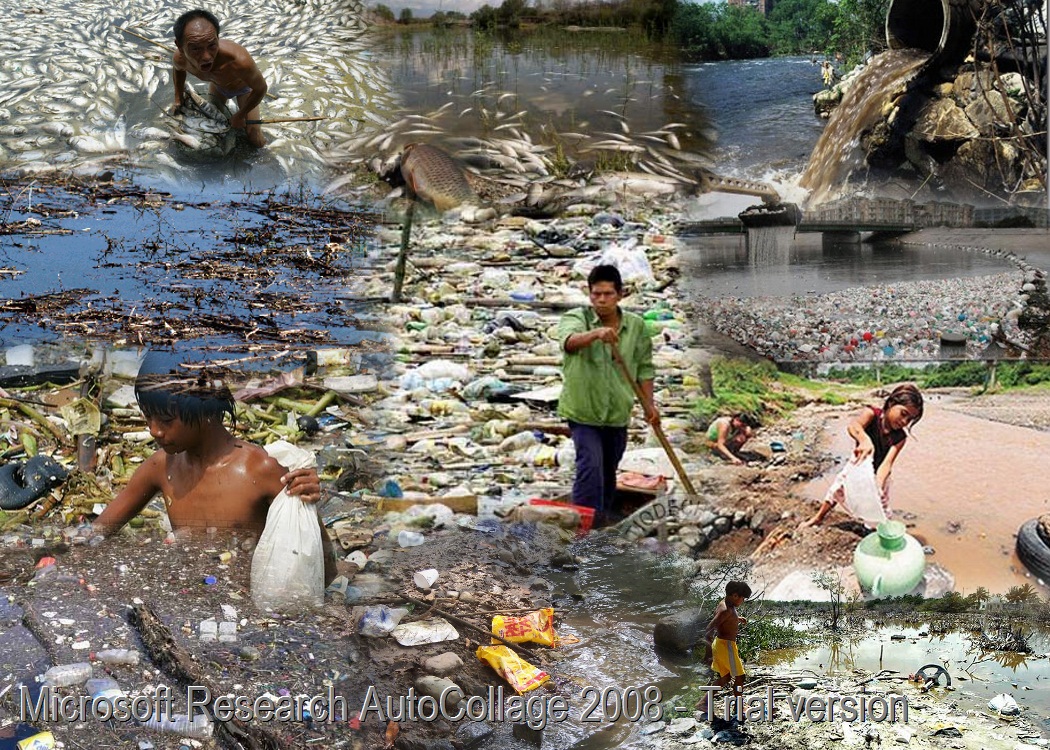 CIENCIAS NATURALES: Contaminación del Agua