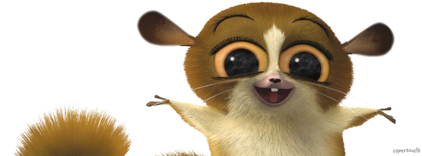 Copertine Facebook: Madagascar Il Film, 43% OFF Copertine Facebook: Madagascar Il Film, 43% OFF