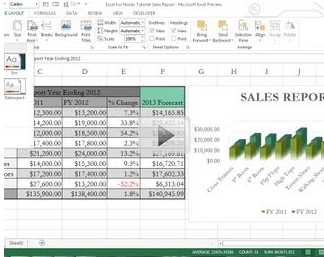 Raj Excel: Video Tutorial : Microsoft Excel 2013 Tutorial For Beginners