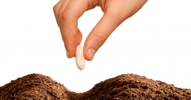 Be The Few Seed Sprouts be-the-few-seed-sprouts