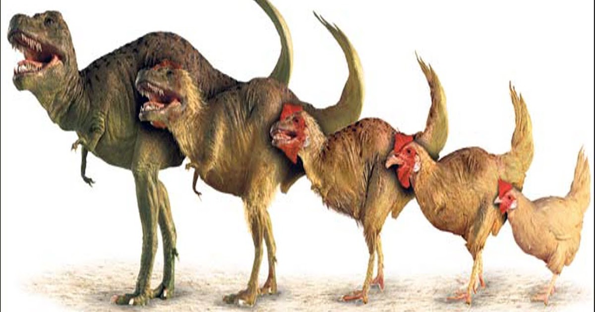 The Fortean Slip: Reverse Engineering Dinosaurs And Cats Evolving Into ... The Fortean Slip: Reverse Engineering Dinosaurs And Cats Evolving Into ...