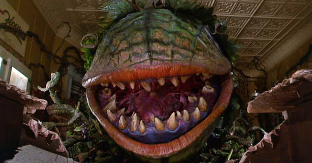 The Man Eating Tree Of Madgascar Sounds Terrifying the-man-eating-tree-of-madgascar-sounds-terrifying