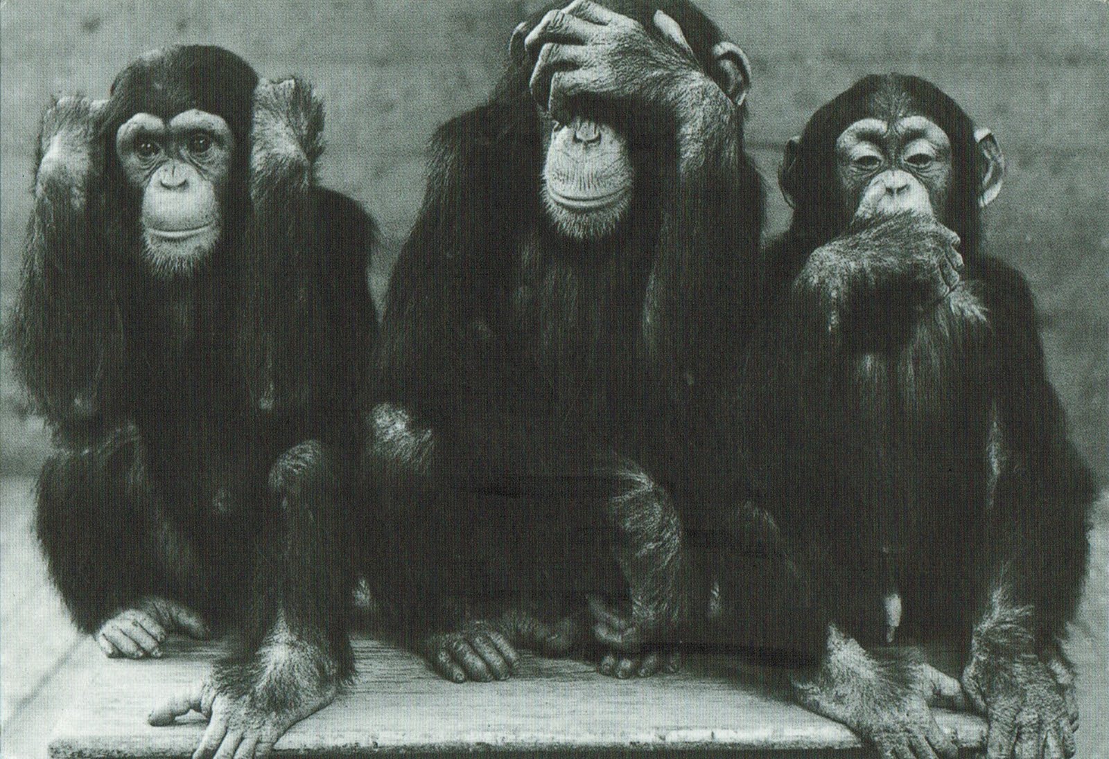 The Three Wise Monkeys Jonathan s PHILATELY Blog the-three-wise-monkeys-jonathan-s-philately-blog