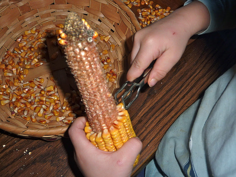 Fall Montessori Works ~ Fun with Field Corn