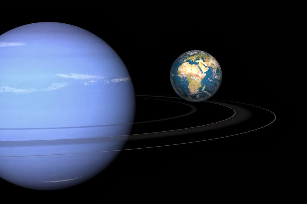 Uranus uranus