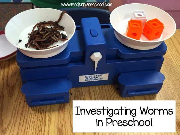 Investigating WORMS in Preschool