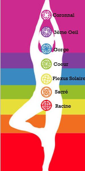 Le cerveau et le plexus solaire