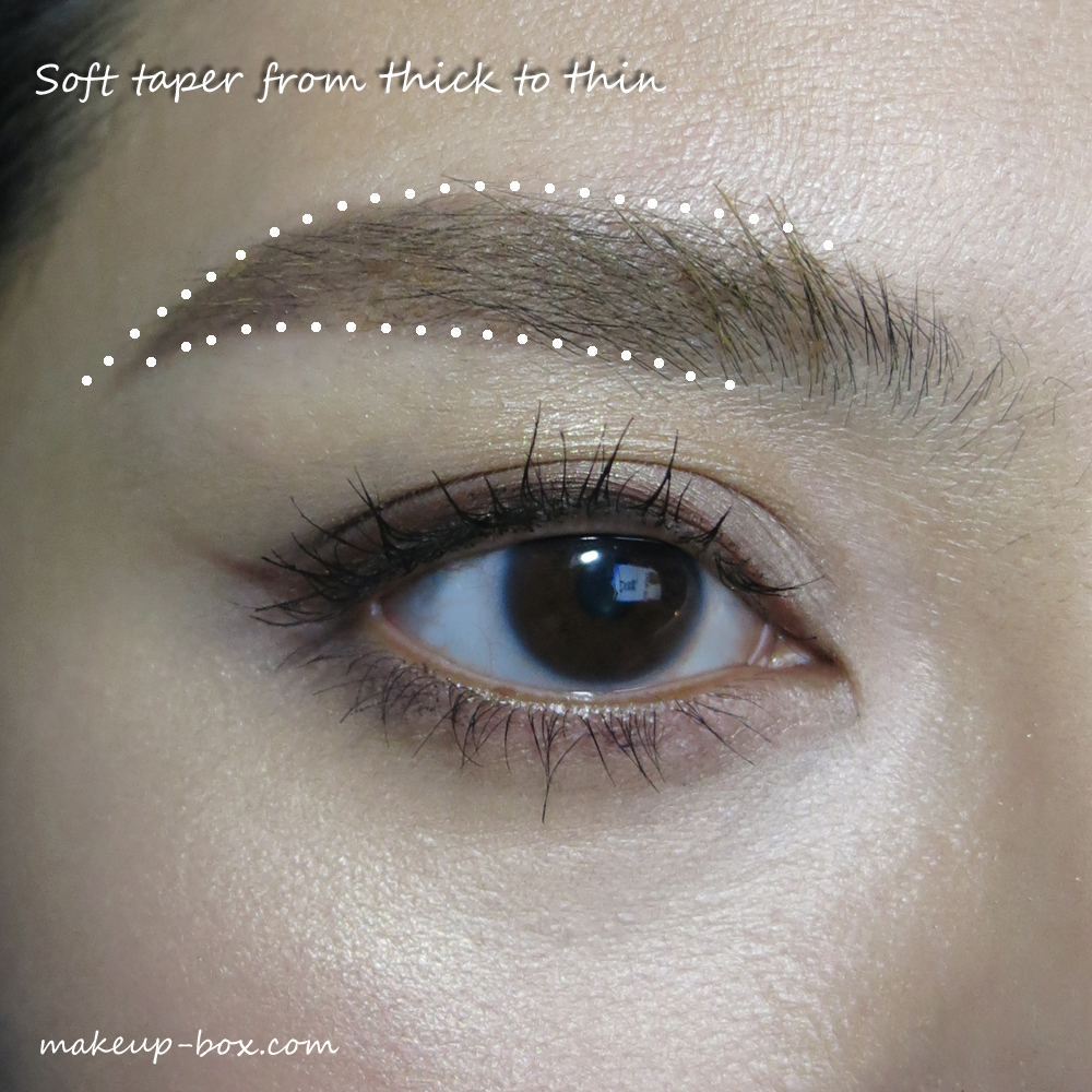 The Makeup Box: My Daily Brow Routine