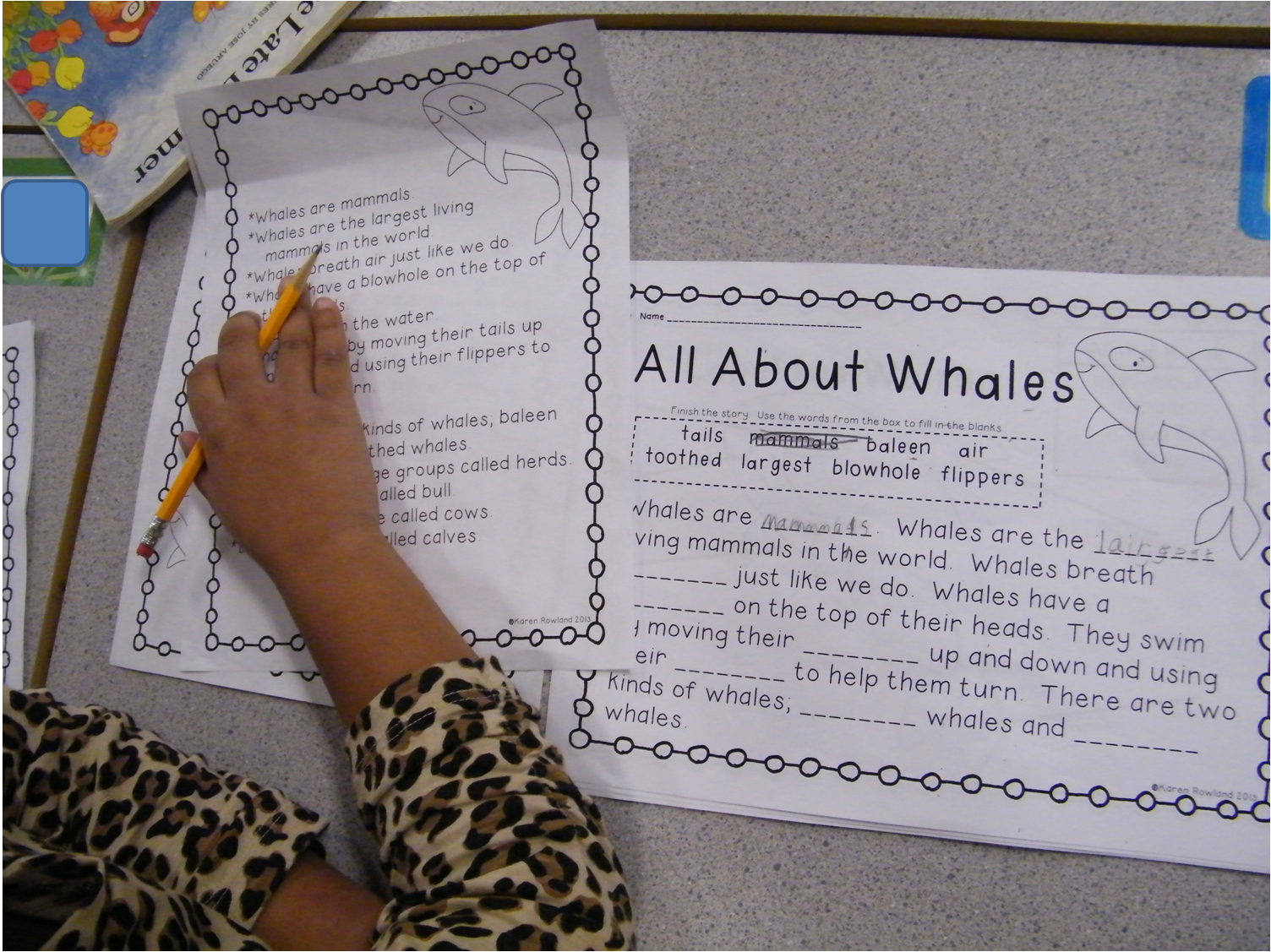 Adventures With Firsties Our mini Research Project adventures-with-firsties-our-mini-research-project