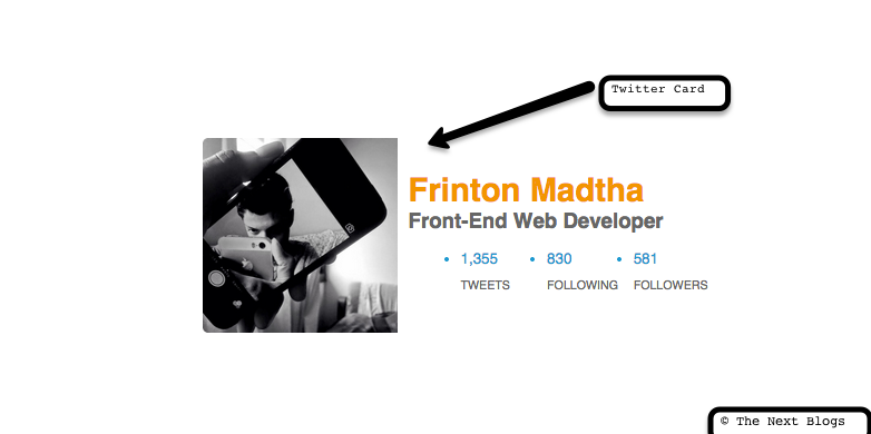 Simple Twitter Profile Card Using HTML and CSS - The Next Blogs