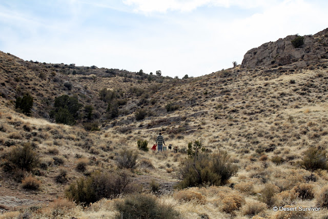 Desert Survivor: Bone Canyon and a Couple Surprises