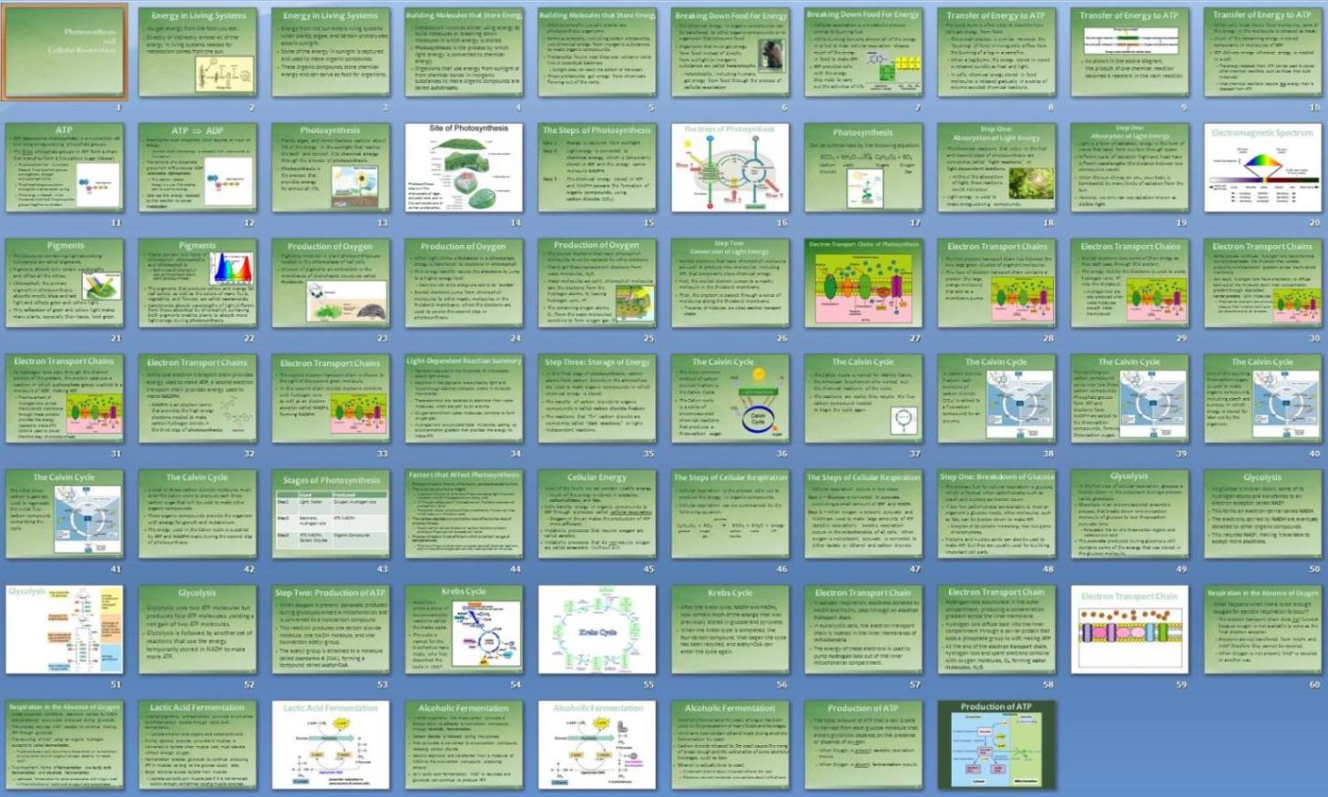 The Lesson Guide Photosynthesis And Cellular Respiration Unit Bundle the-lesson-guide-photosynthesis-and-cellular-respiration-unit-bundle