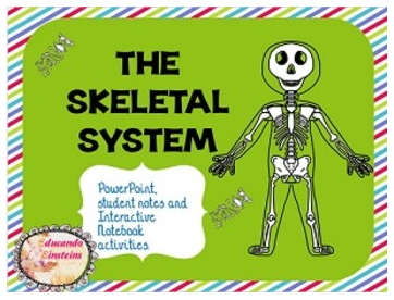 The Best of Teacher Entrepreneurs: FREE SCIENCE LESSON - “Skeletal ...