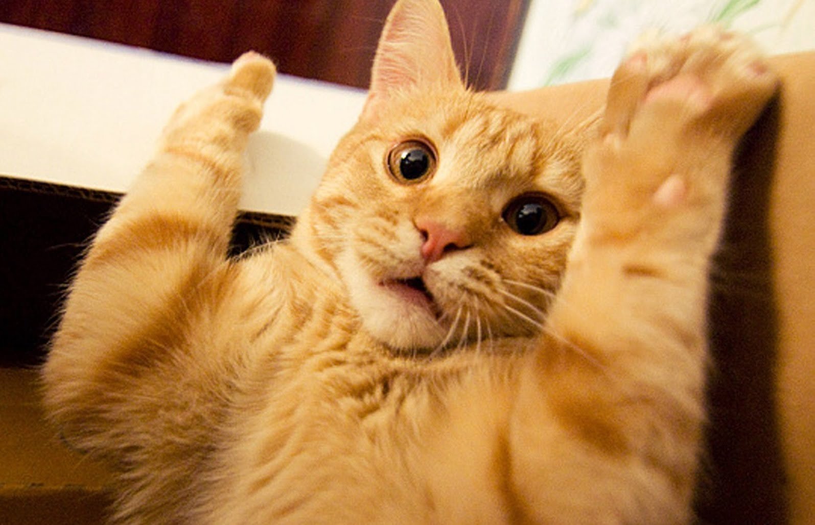 The IPKat Copyright Reform Through Competition Law The Commission s the-ipkat-copyright-reform-through-competition-law-the-commission-s