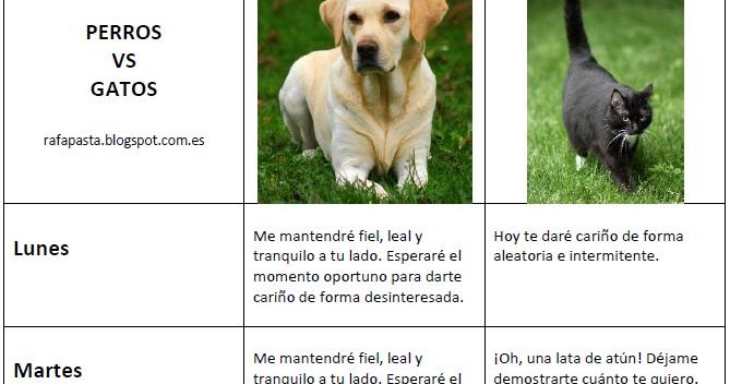 Rafapasta: Perros VS Gatos