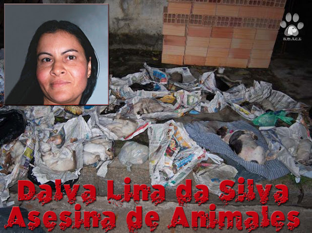 INDIGNANTE: La peor Asesina de Animales de la historia condenada a 12 años de prisión, apelará ...