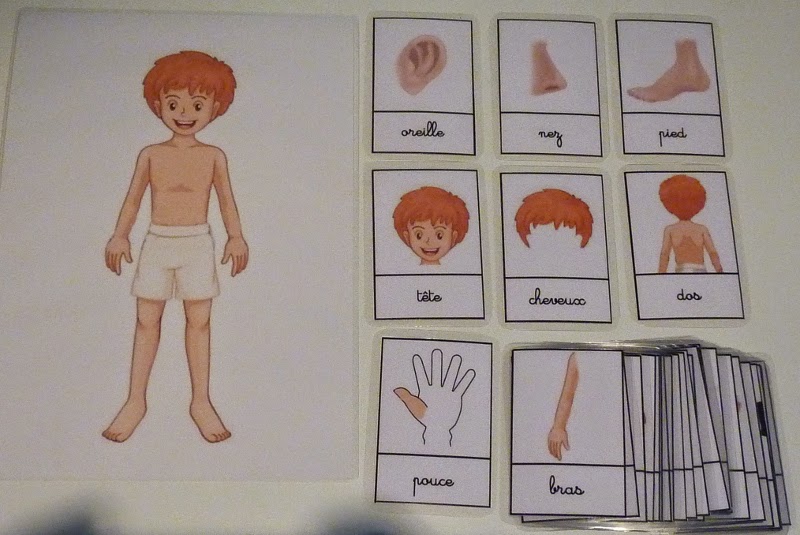 Crapouillotage: Cartes de Nomenclatures : CORPS HUMAIN [EDIT:18/04/2017]