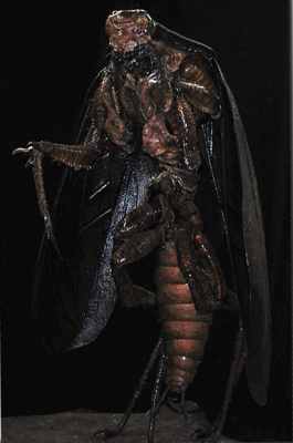 Pictures of Insect Men: A Retrospective Analysis of the Mimic Trilogyplume-de-pan