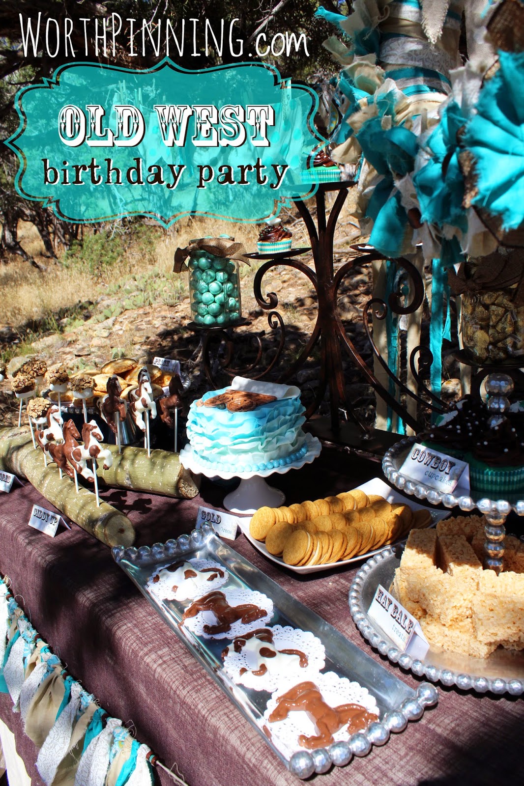 Worth Pinning Old West Birthday Party worth-pinning-old-west-birthday-party