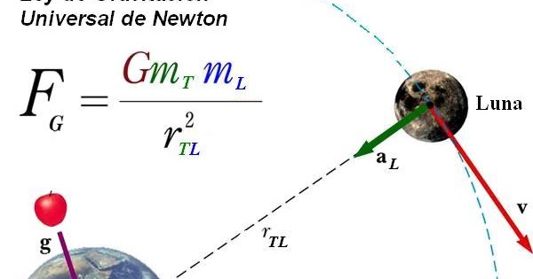 LAS LEYES DE NEWTON: Ley de gravitación universal