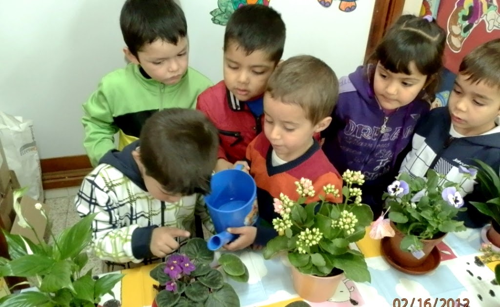 La magia de mirar: NUESTRAS PLANTAS