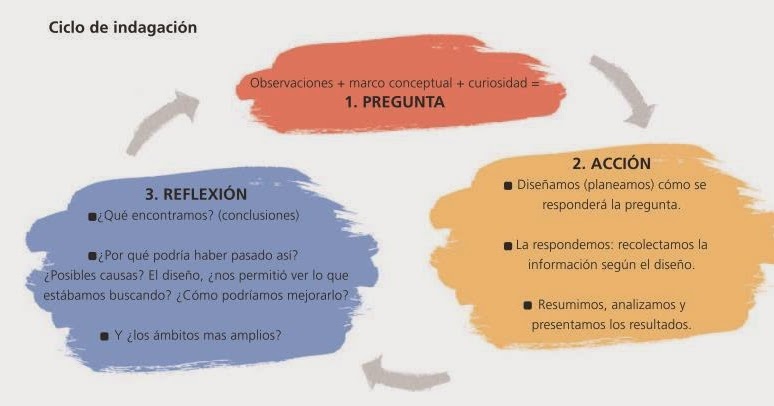 Enseñanza de la Ecología en el Patio de la Escuela: Ciclo de indagación