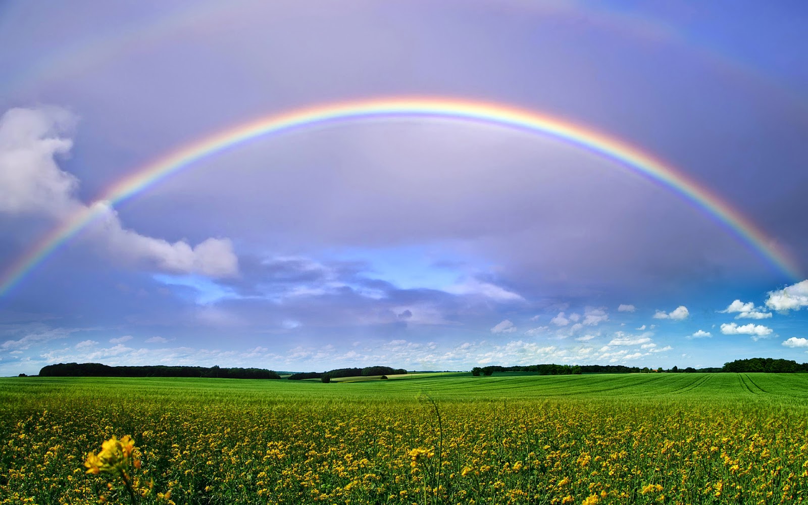 Real Rainbows VdudesV real-rainbows-vdudesv