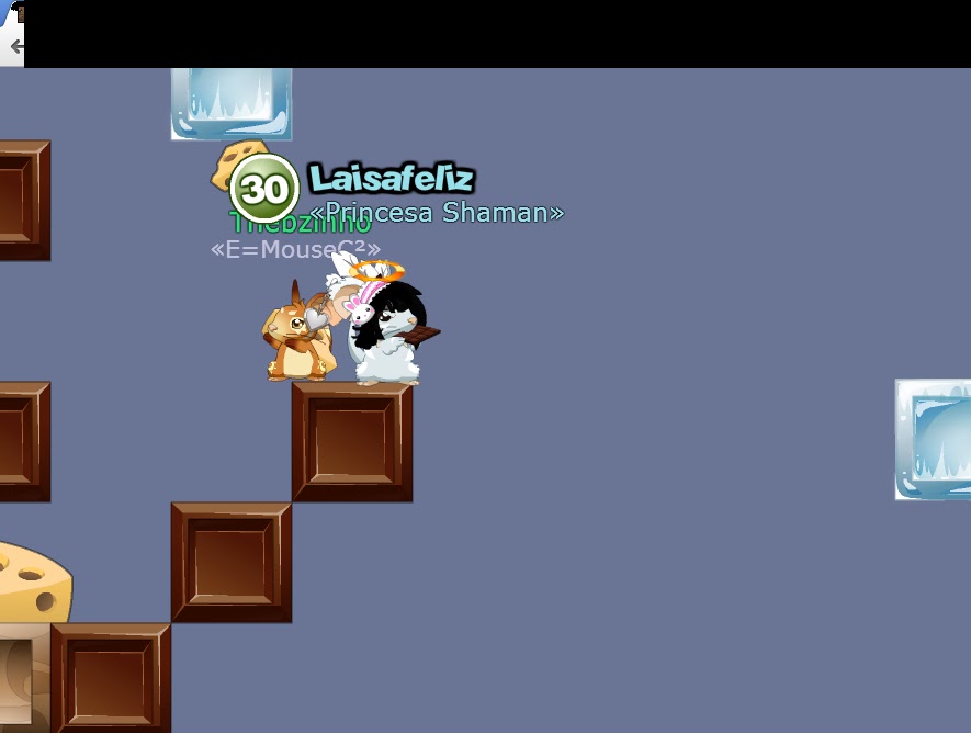 Transformice - Visuais