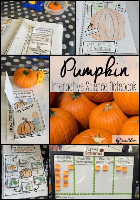 Pumpkin Interactive Science Notebook