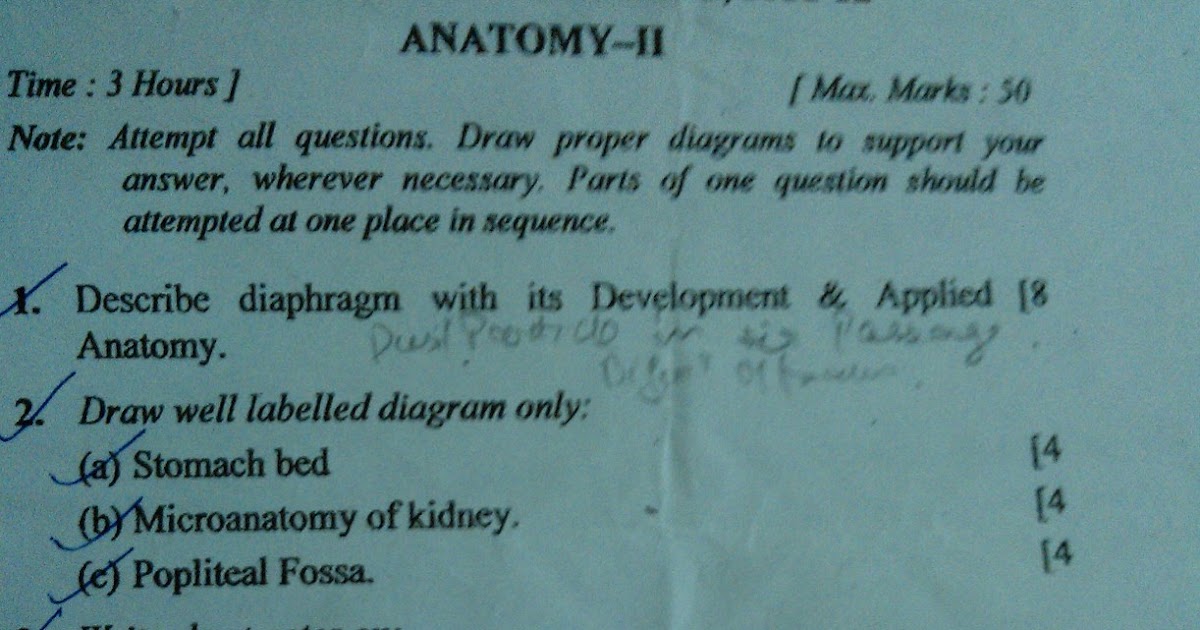 Anatomy Professional Exam 2011-12 | Anatomy | Mbbs 1st year Anatomy Professional Exam 2011-12 | Anatomy | Mbbs 1st year