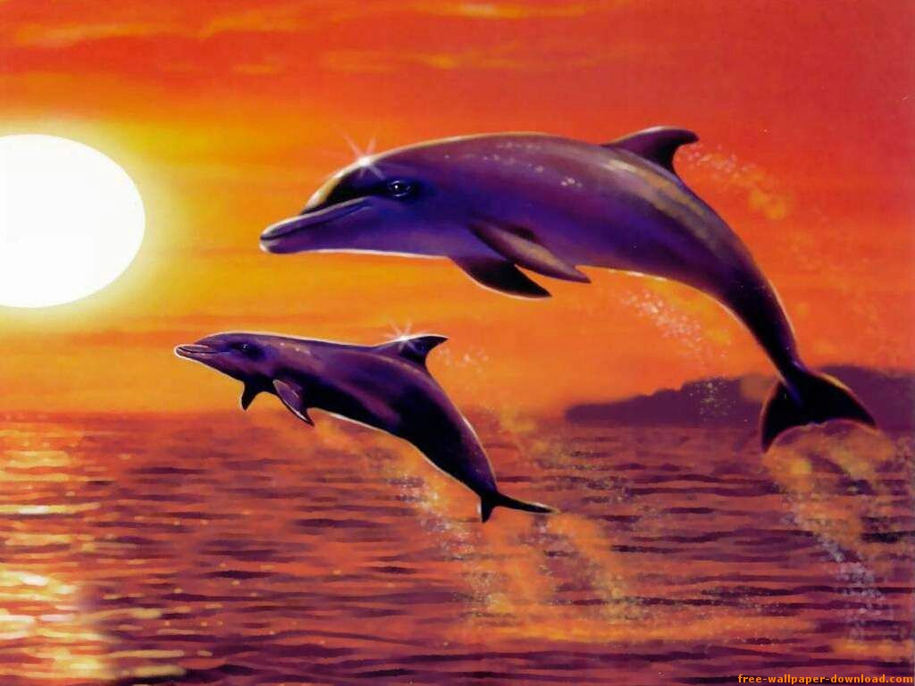 Delfines wallpaper - Imagui