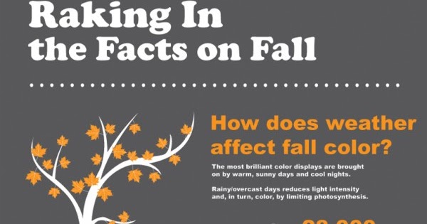 Innovation Design In Education - ASIDE: Autumnal Infographics As ...