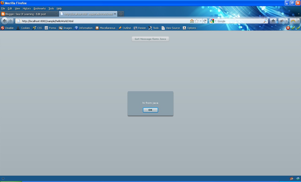 Feel Flex: Sample Remoting Application Using BlazeDS in flex with Java Object