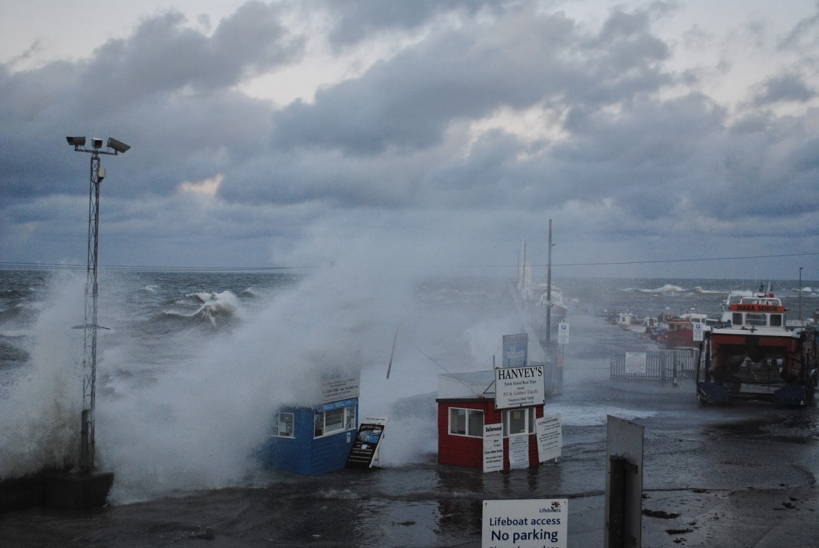 Seahouses Storm - Serenity Farne Islands Boat Tours and Trips