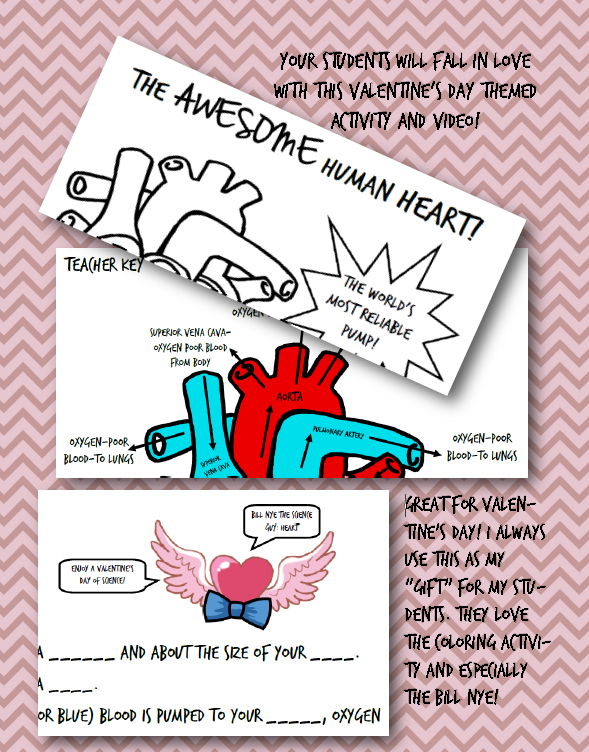 The Best of Teacher Entrepreneurs II: SCIENCE LESSON - "Valentines day ...