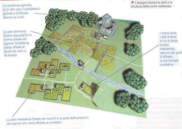 Anna Maria Russo: La curtis medievale