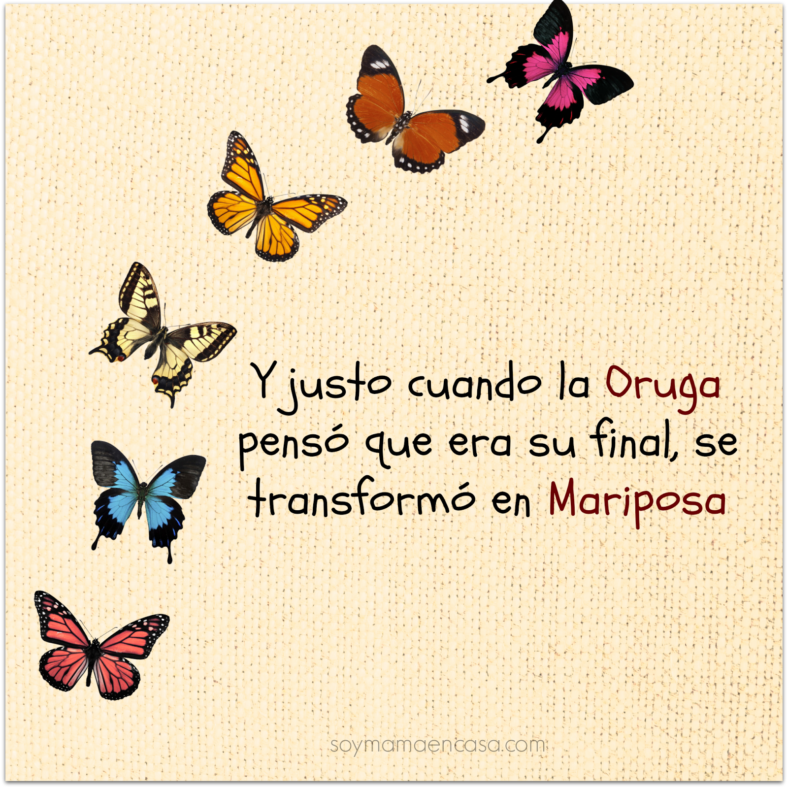 Reflexiones: LA MARIPOSA
